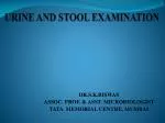 PPT - STOOL EXAMINATION PowerPoint Presentation, free download - ID:2300259