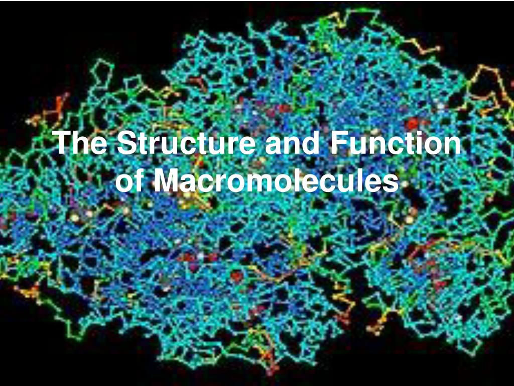 PPT - The Structure and Function of Macromolecules PowerPoint ...