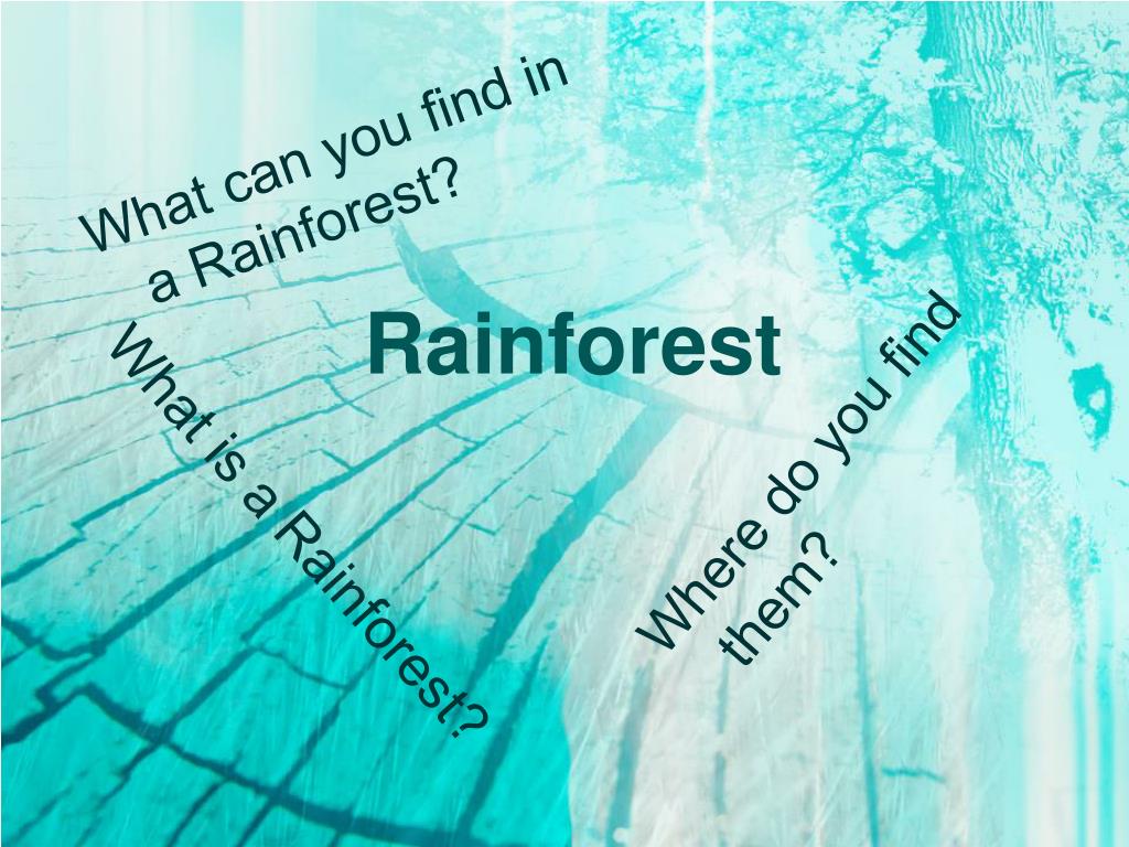 PPT - Rainforest PowerPoint Presentation, free download - ID:1001500