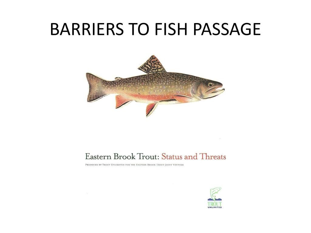 PPT - BARRIERS TO FISH PASSAGE PowerPoint Presentation, free download ...