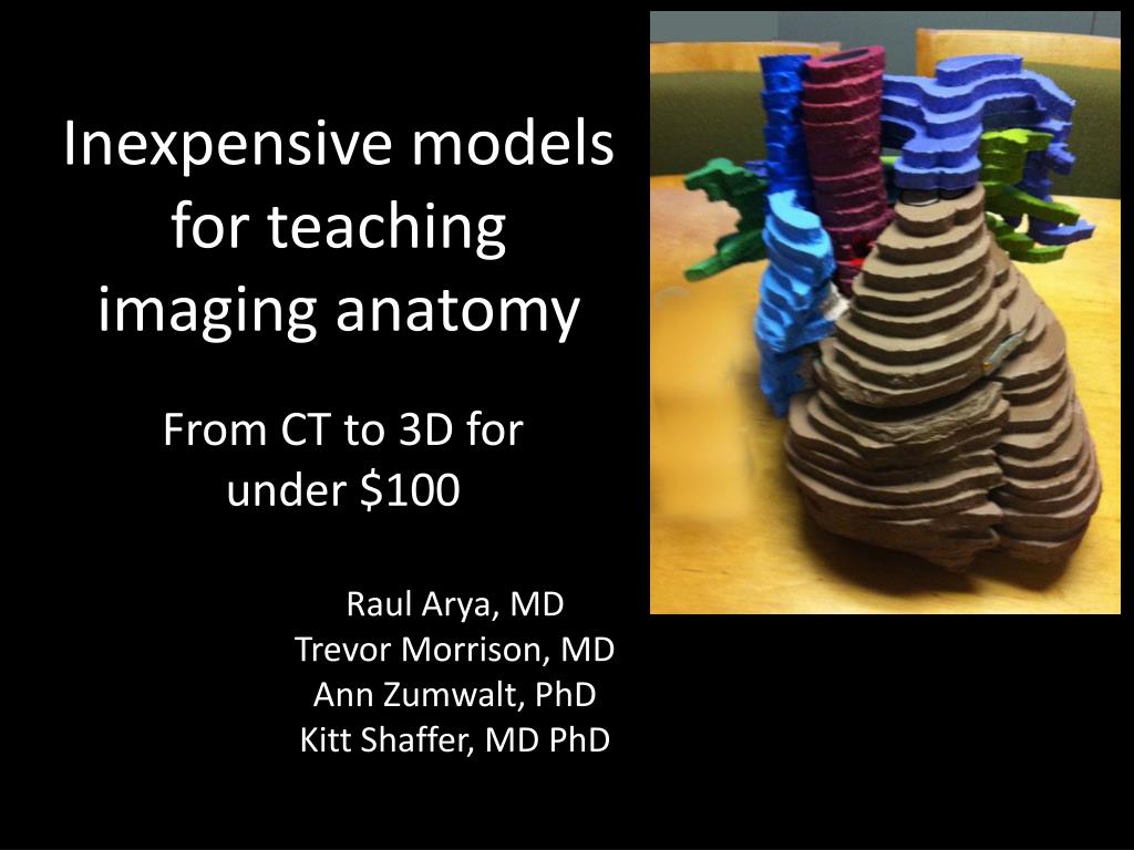 PPT - Inexpensive models for teaching imaging anatomy PowerPoint ...
