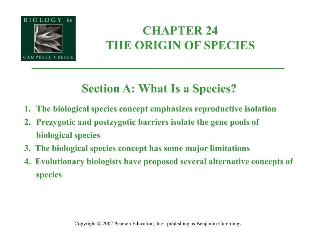 PPT - CHAPTER 24 THE ORIGIN OF SPECIES PowerPoint Presentation, free ...