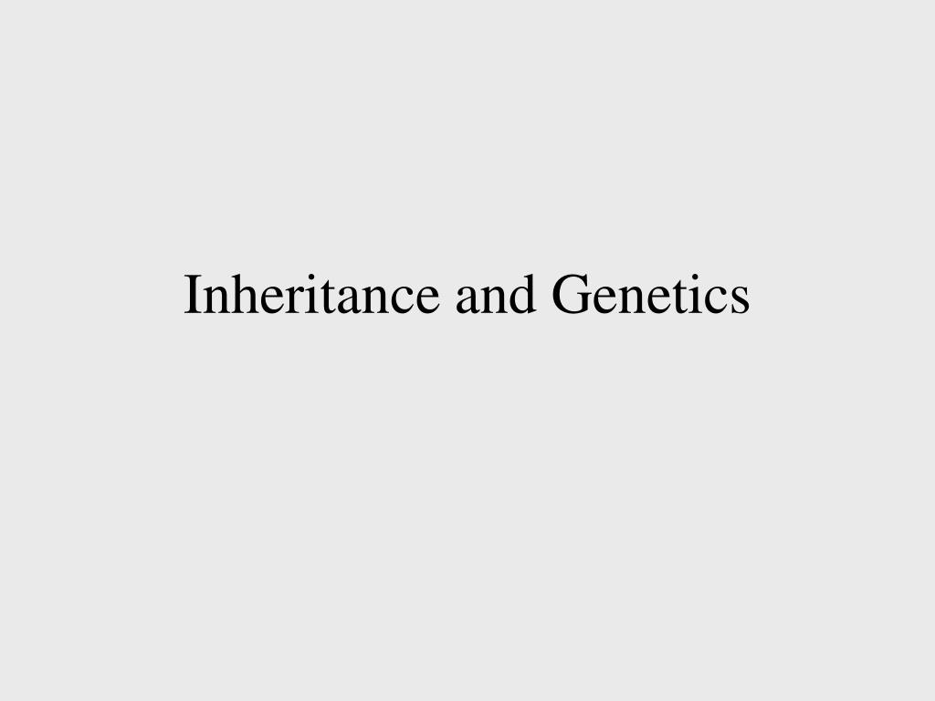 PPT - Inheritance and Genetics PowerPoint Presentation, free download ...