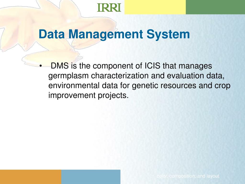 PPT - Data Management System PowerPoint Presentation, free download ...