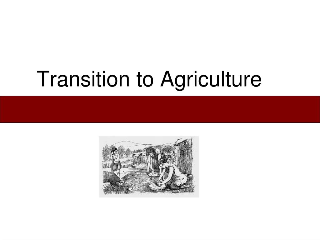 PPT - Transition to Agriculture PowerPoint Presentation, free download ...