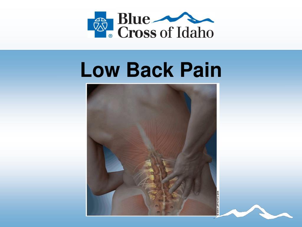 PPT - Low Back Pain PowerPoint Presentation, free download - ID:1011198