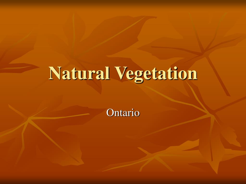 PPT - Natural Vegetation PowerPoint Presentation, free download - ID ...