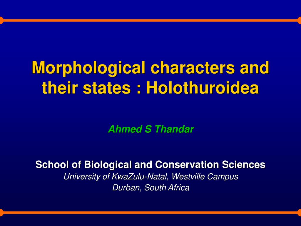 PPT - Morphological characters and their states : Holothuroidea ...