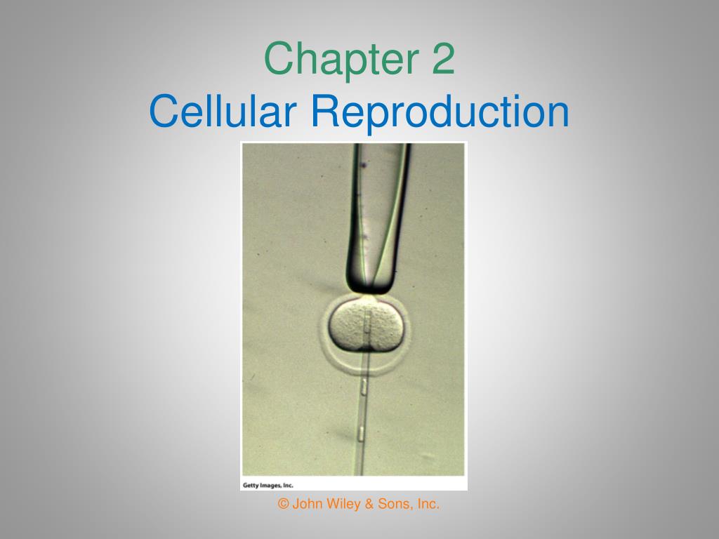 PPT - Chapter 2 Cellular Reproduction PowerPoint Presentation, free ...