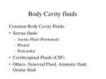 PPT - Body Fluids PowerPoint Presentation, free download - ID:2949985