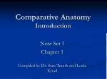 PPT - Introduction Anatomy PowerPoint Presentation, free download - ID ...