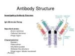 PPT - Antibody structure and function PowerPoint Presentation, free ...