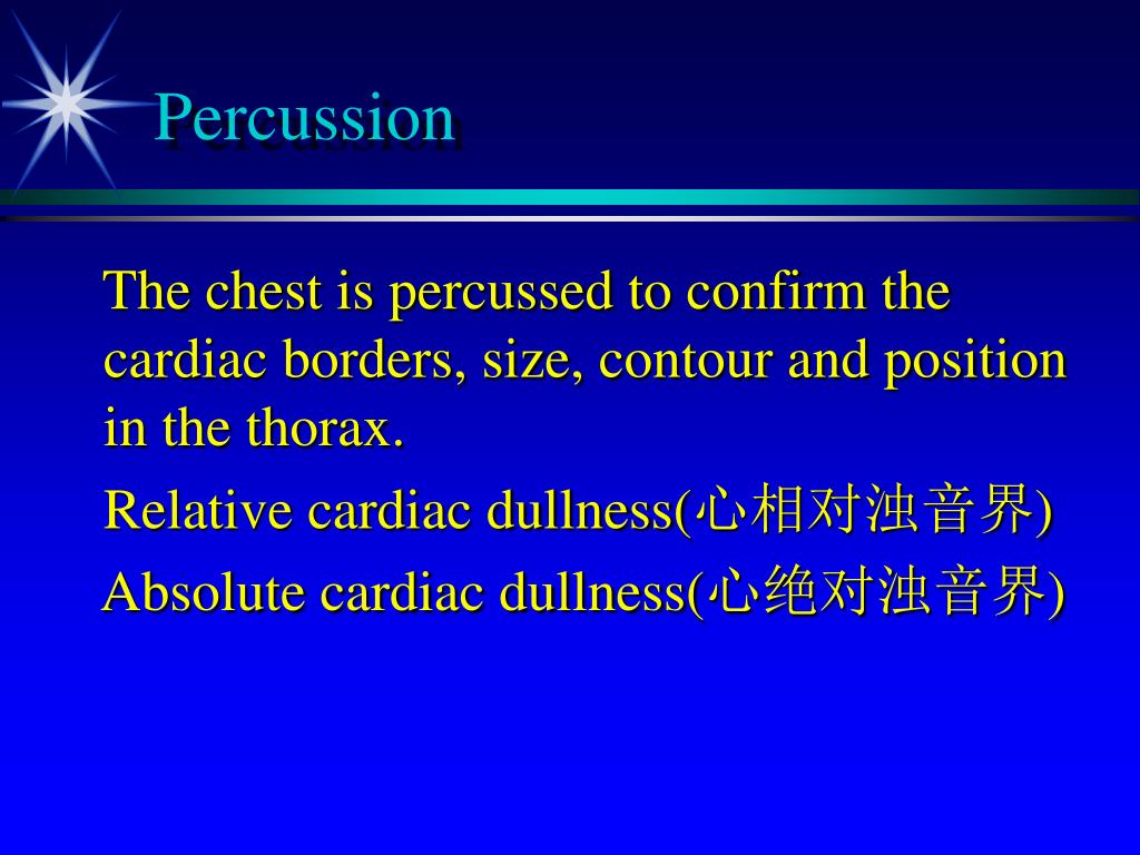 PPT - Percussion PowerPoint Presentation, free download - ID:1018774