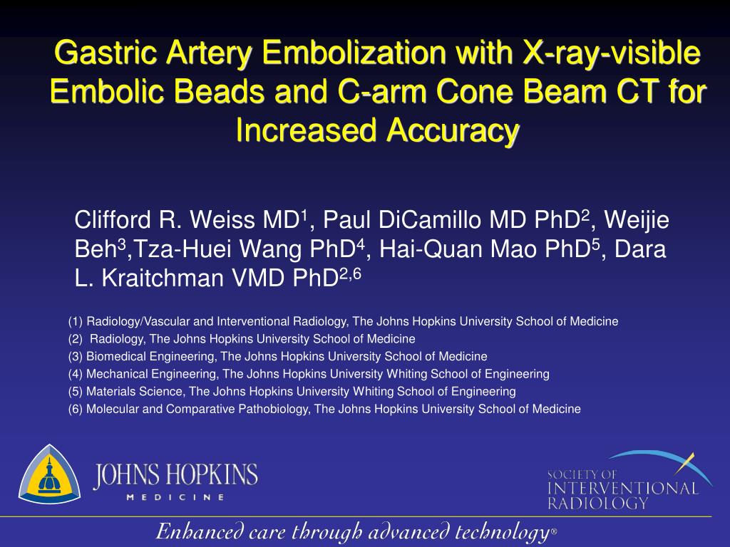 PPT - Improved Accuracy in Gastric Artery Embolization with X-ray ...