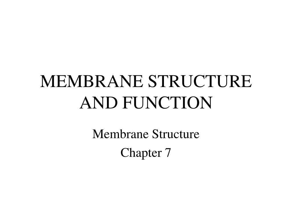PPT - Membrane Structure and Function PowerPoint Presentation, free ...