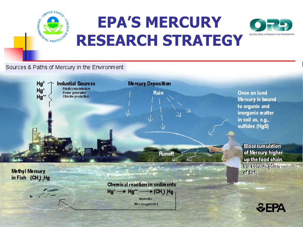 PPT - EPA’S MERCURY RESEARCH STRATEGY PowerPoint Presentation, free ...