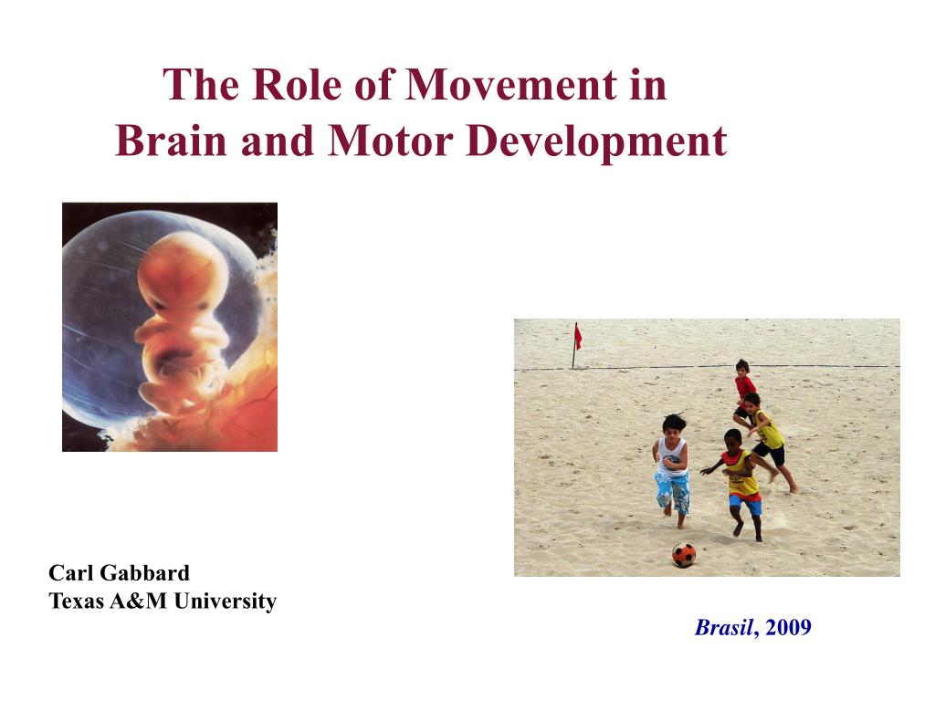 PPT - Carl Gabbard Texas A&M University PowerPoint Presentation - ID ...