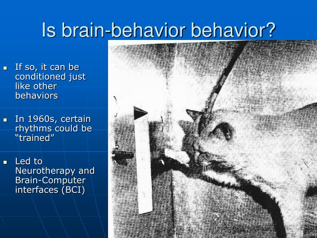 PPT - Is brain-behavior behavior? PowerPoint Presentation, free ...