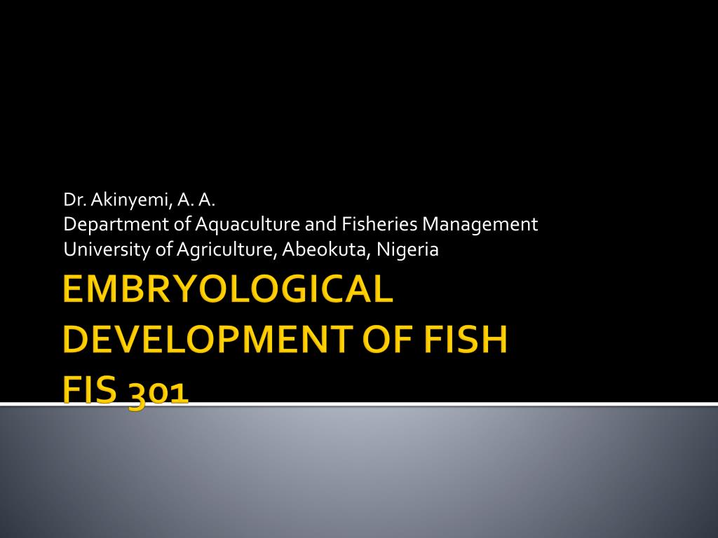 PPT - EMBRYOLOGICAL DEVELOPMENT OF FISH FIS 301 PowerPoint Presentation ...