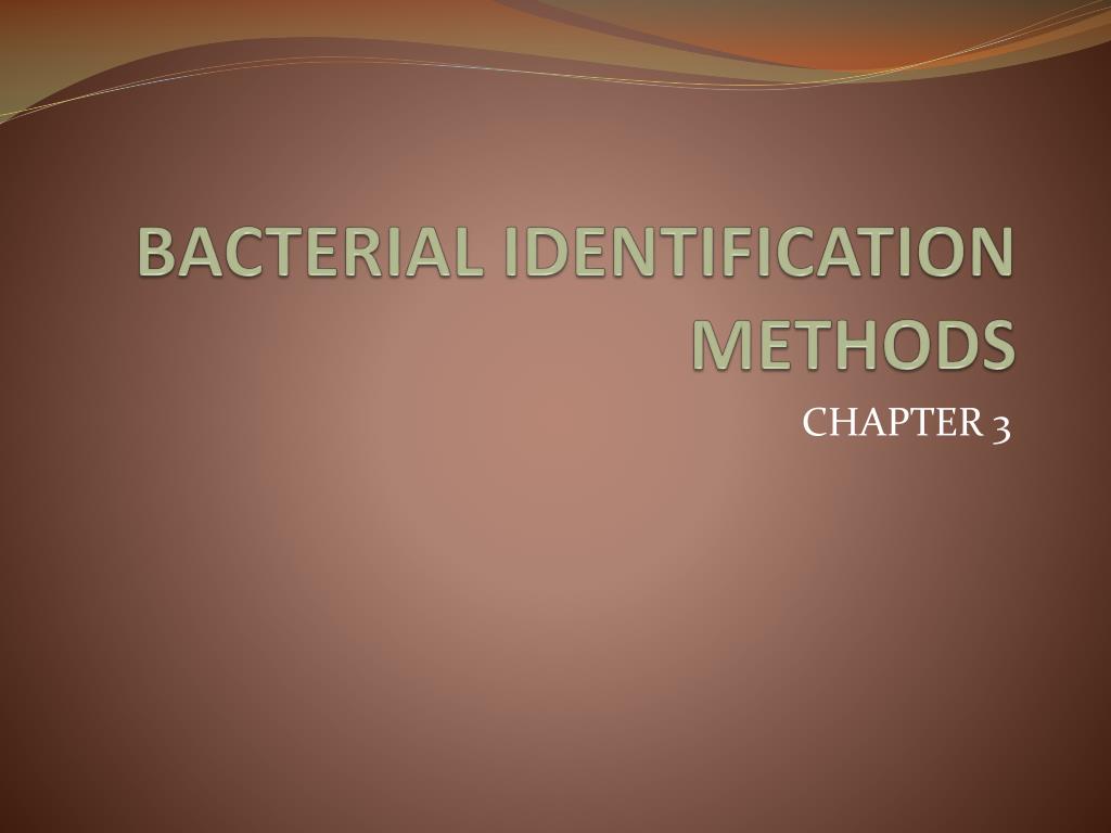 PPT - BACTERIAL IDENTIFICATION METHODS PowerPoint Presentation, free ...