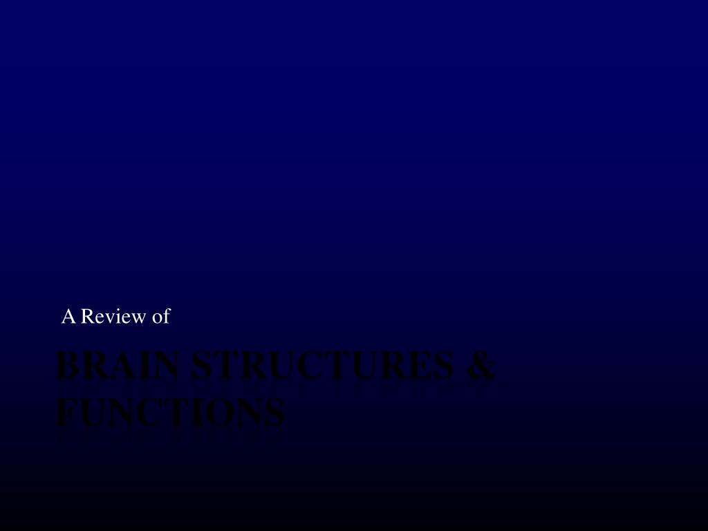 PPT - Brain Structures & Functions PowerPoint Presentation, free ...