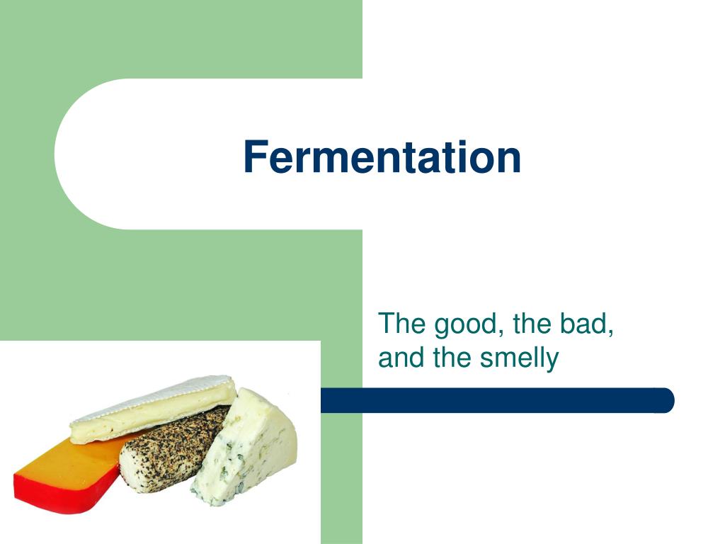 PPT - Fermentation PowerPoint Presentation, free download - ID:1033209