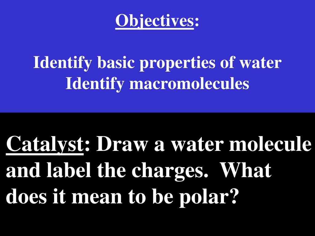 PPT - Objectives : Identify basic properties of water Identify ...