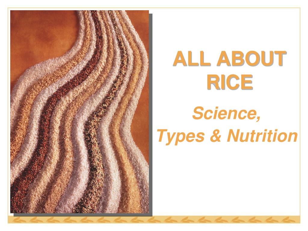 PPT - ALL ABOUT RICE PowerPoint Presentation, free download - ID:1034121