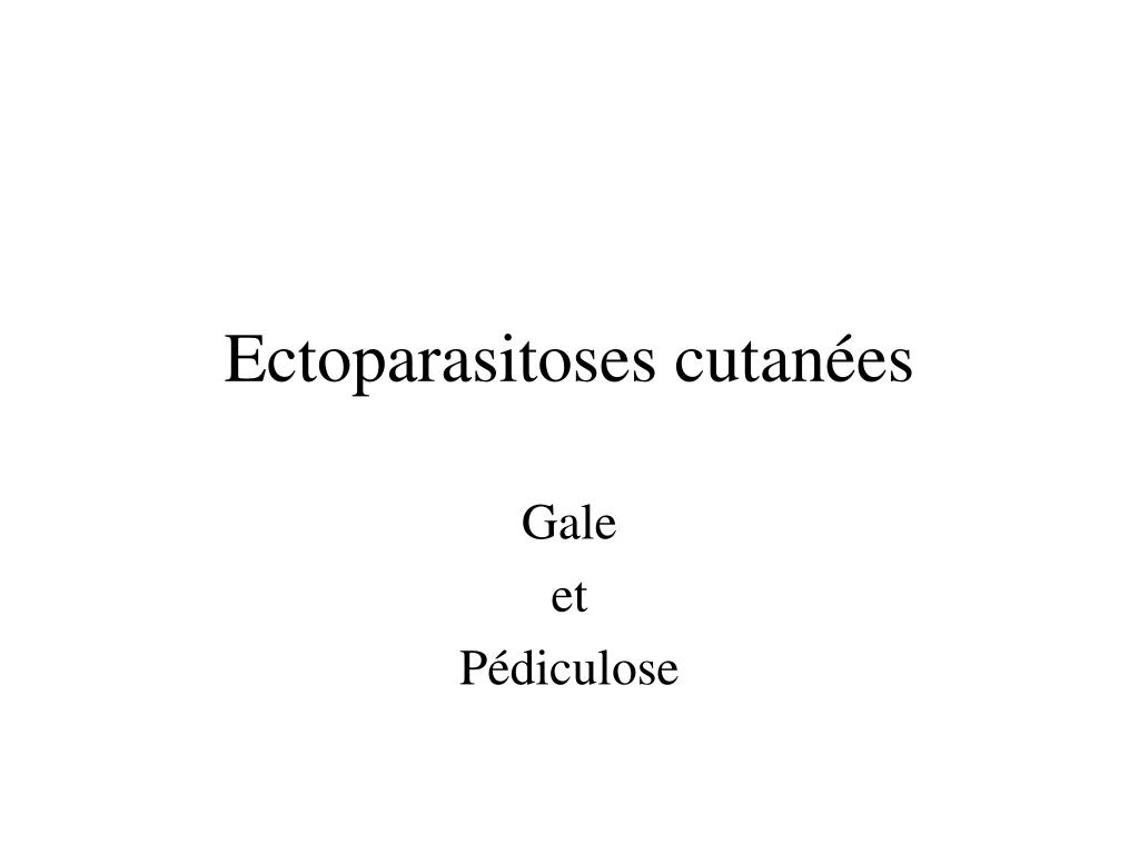 PPT - Ectoparasitoses cutanées PowerPoint Presentation, free download - ID:1035717