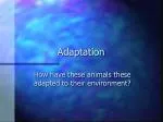 PPT - Adaptation PowerPoint Presentation, free download - ID:604327