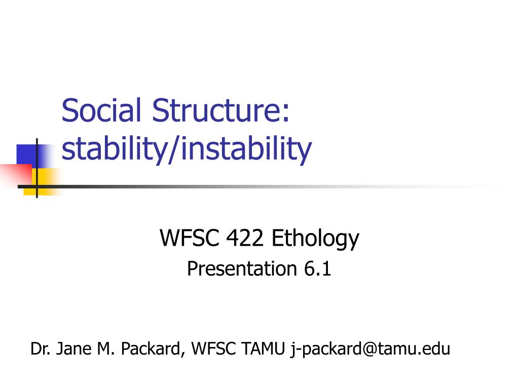 PPT - Social Structure: stability/instability PowerPoint Presentation ...