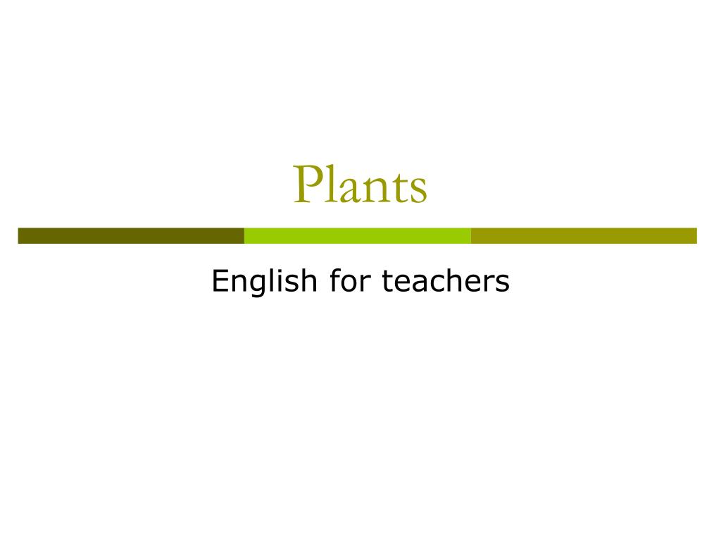 PPT - Plants PowerPoint Presentation, free download - ID:1038456