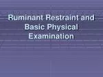 PPT - Ruminant Restraint Chapter 2 PowerPoint Presentation, free ...