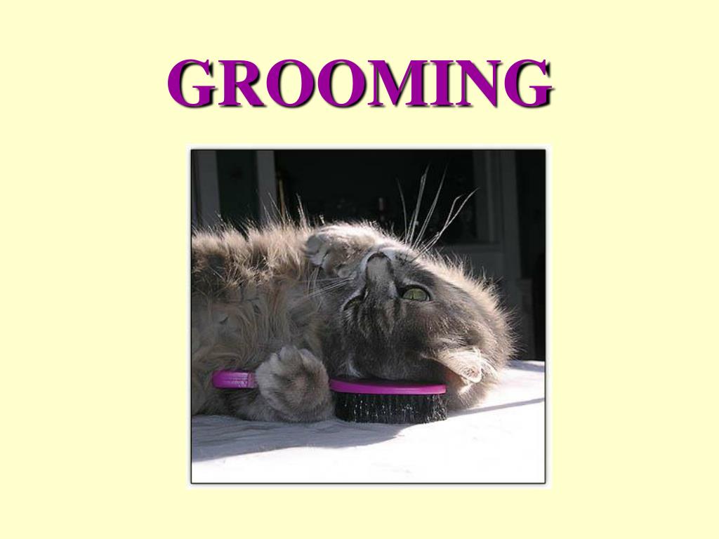 PPT - GROOMING PowerPoint Presentation, free download - ID:103927