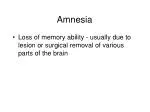 PPT - Types of Amnesia PowerPoint Presentation, free download - ID:2163860