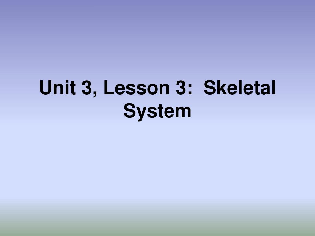 PPT - Unit 3, Lesson 3: Skeletal System PowerPoint Presentation, free ...