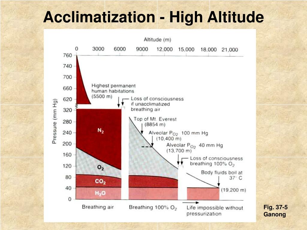 PPT - Acclimatization - High Altitude PowerPoint Presentation, free ...