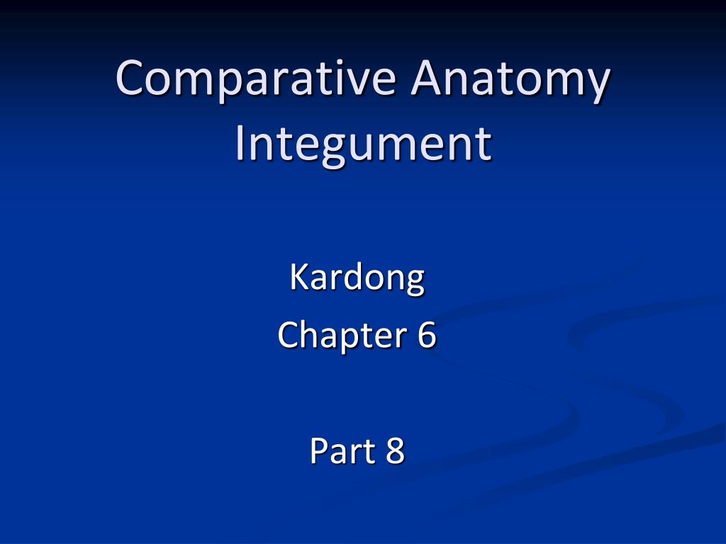 PPT - Comparative Anatomy Integument PowerPoint Presentation, free ...