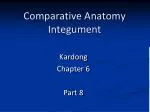 PPT - Comparative Anatomy PowerPoint Presentation, free download - ID:354474