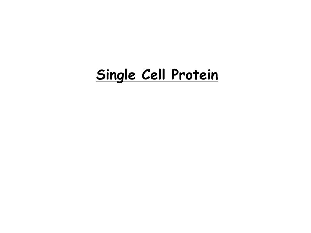 PPT - Single Cell Protein PowerPoint Presentation, free download - ID ...