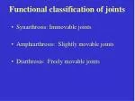PPT - Functional Classification PowerPoint Presentation, free download ...