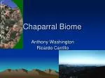 PPT - The Chaparral Biome PowerPoint Presentation, free download - ID ...