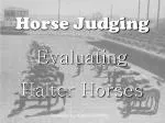 PPT - Judging Conformation in Horses PowerPoint Presentation, free ...