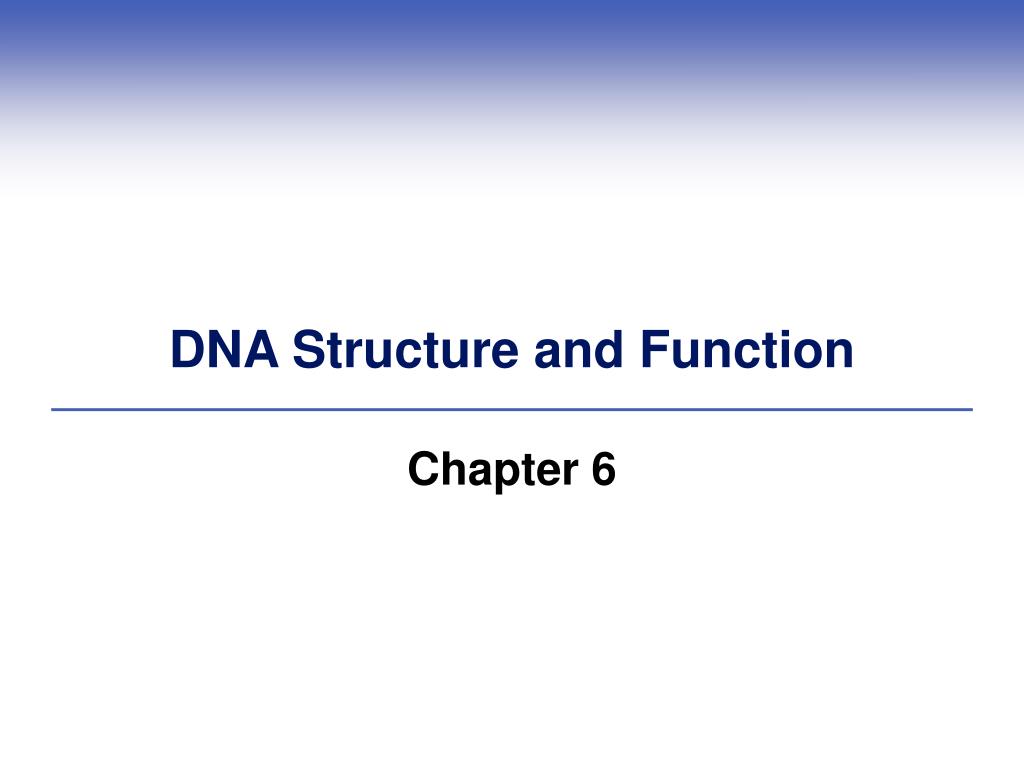 PPT - DNA Structure and Function PowerPoint Presentation, free download ...