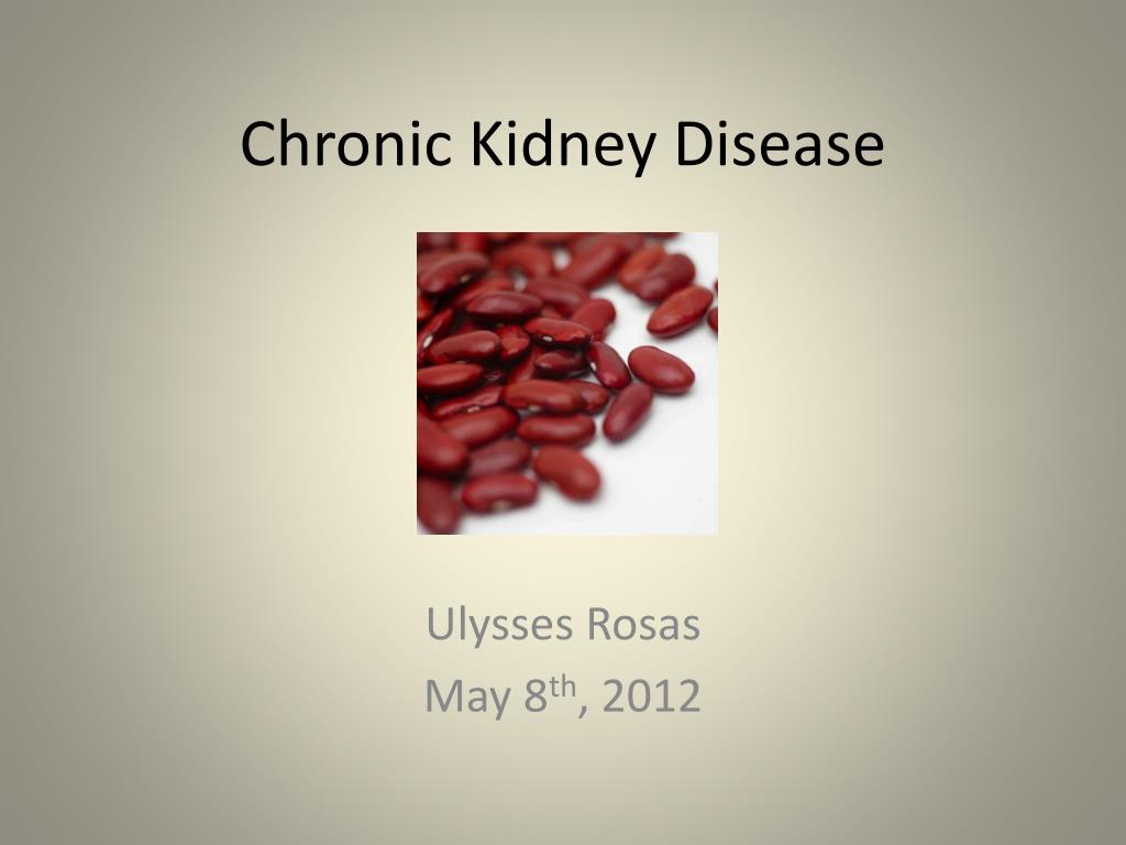 PPT - Chronic Kidney Disease PowerPoint Presentation, free download ...
