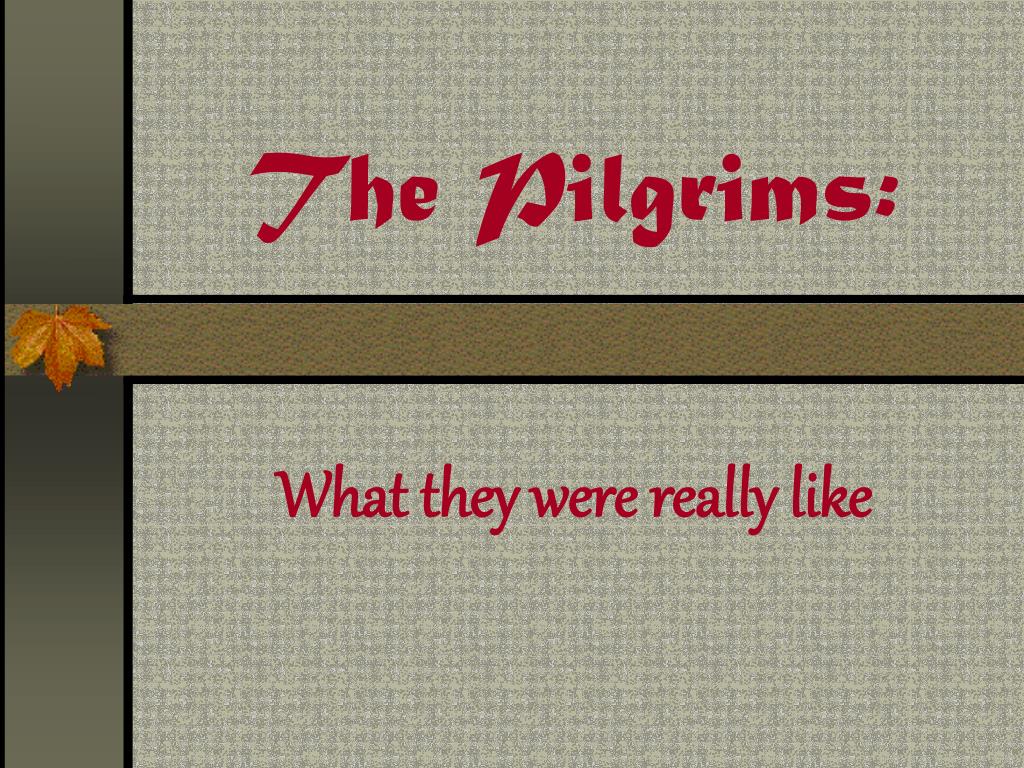 PPT - The Pilgrims: PowerPoint Presentation, free download - ID:1056115