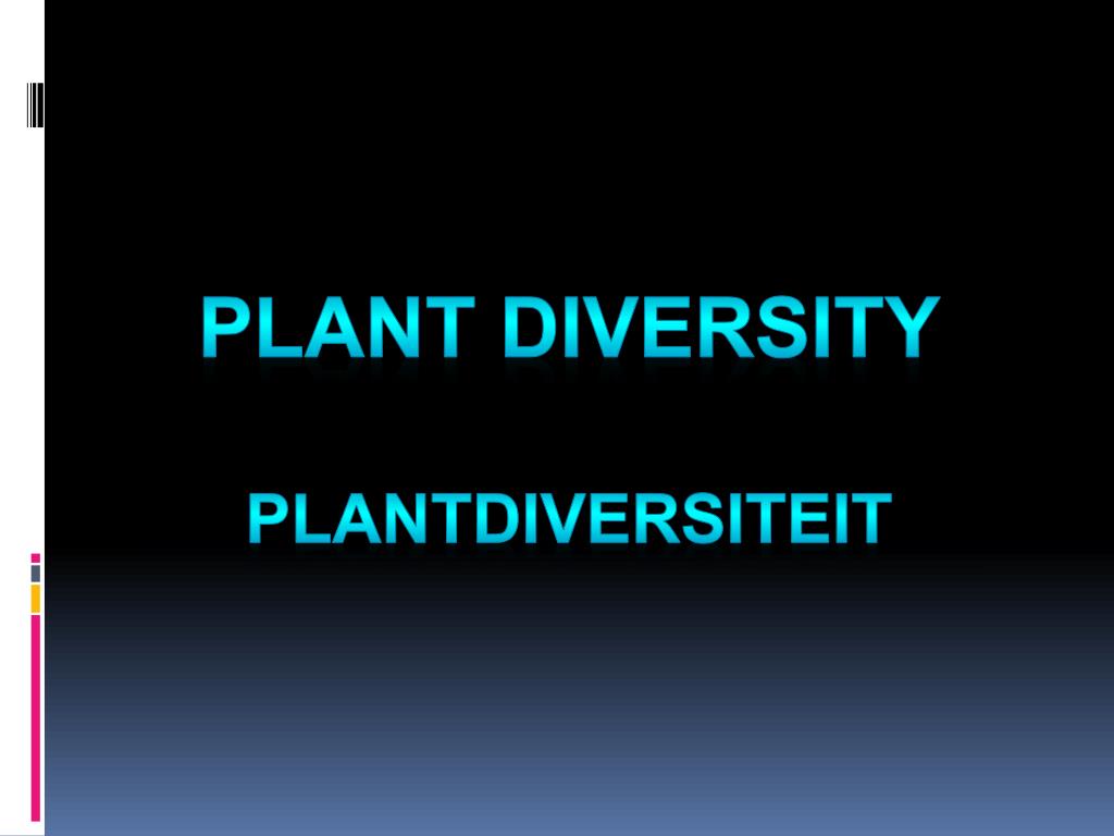 PPT - plant diversity PLANTDIVERSITEIT PowerPoint Presentation, free ...