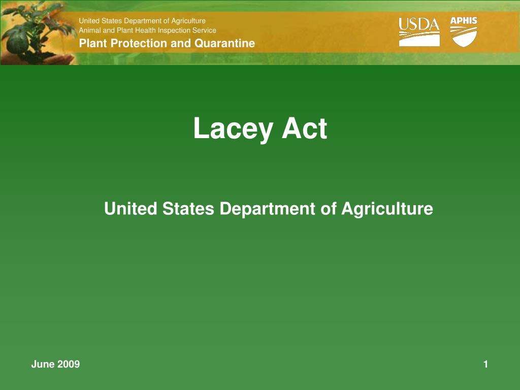 PPT - Lacey Act PowerPoint Presentation, free download - ID:1059577