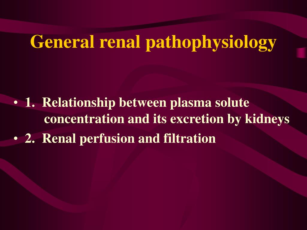 PPT - General renal pathophysiology PowerPoint Presentation, free ...