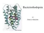 PPT - Bacteriorhodopsin PowerPoint Presentation, free download - ID:3524490